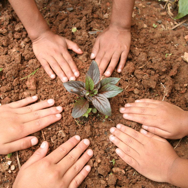 5 Eco-Friendly Projects for Preschoolers - Mulberry Learning